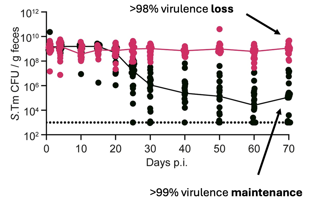 INFECTION BIOLOGY AND PATHOGEN EVOLUTION – The Bakkeren Lab